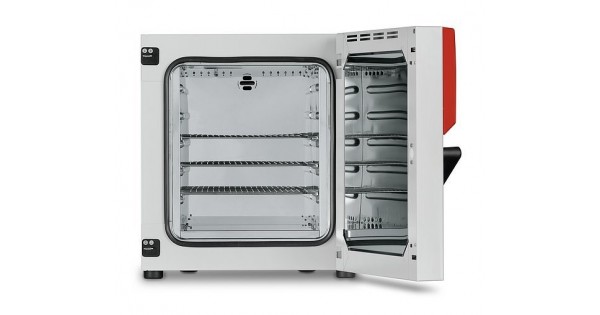 BİNDER ED 115 ETÜV Avantgarde.Line with natural convection +5 °C... 300 ...